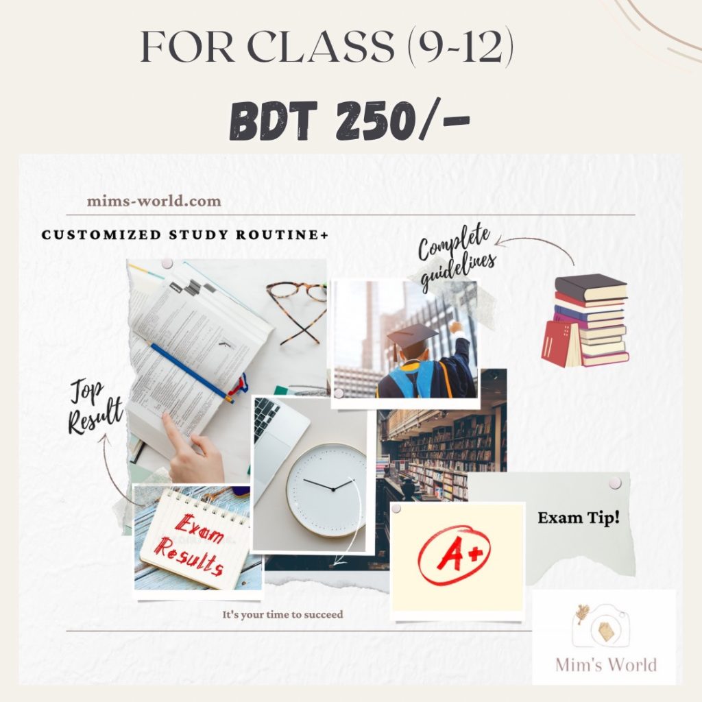 Mims-World – Educational Website